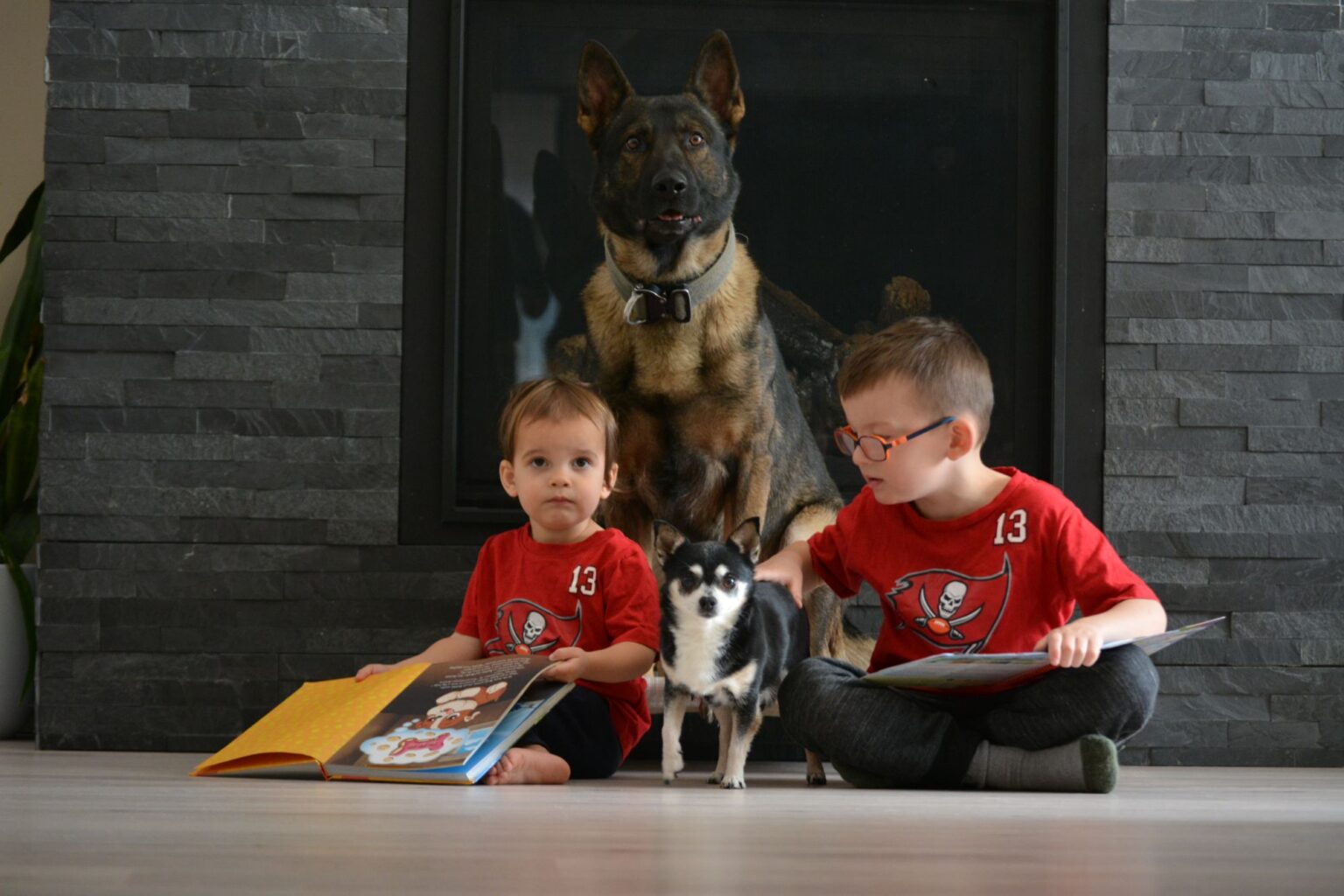 Customized Training Protection Dog Training Packages | Shield K9 Dogs