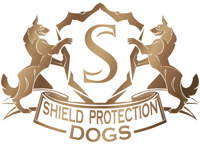 About Trained Protection Dogs | Trained Guard Dogs | Shield K9 Dogs