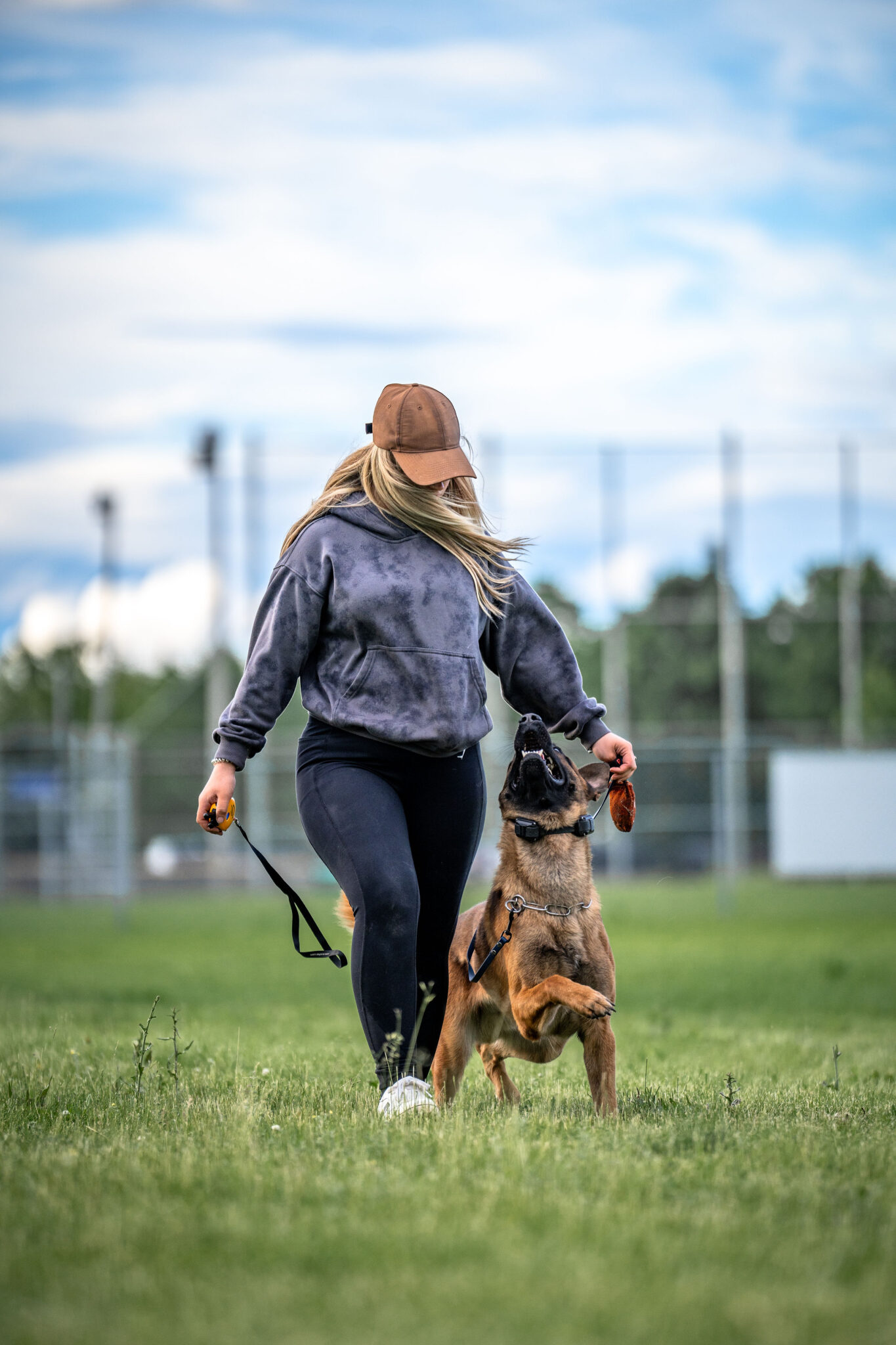 K9 Astro Executive Protector SOLD - ShieldK9 Dogs